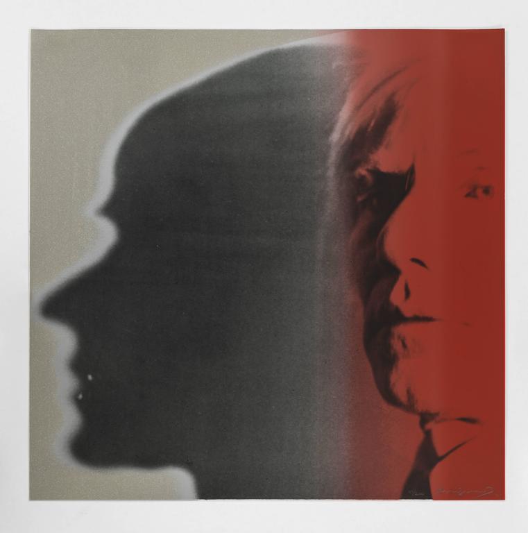 Andy Warhol - The Shadow at 1stDibs