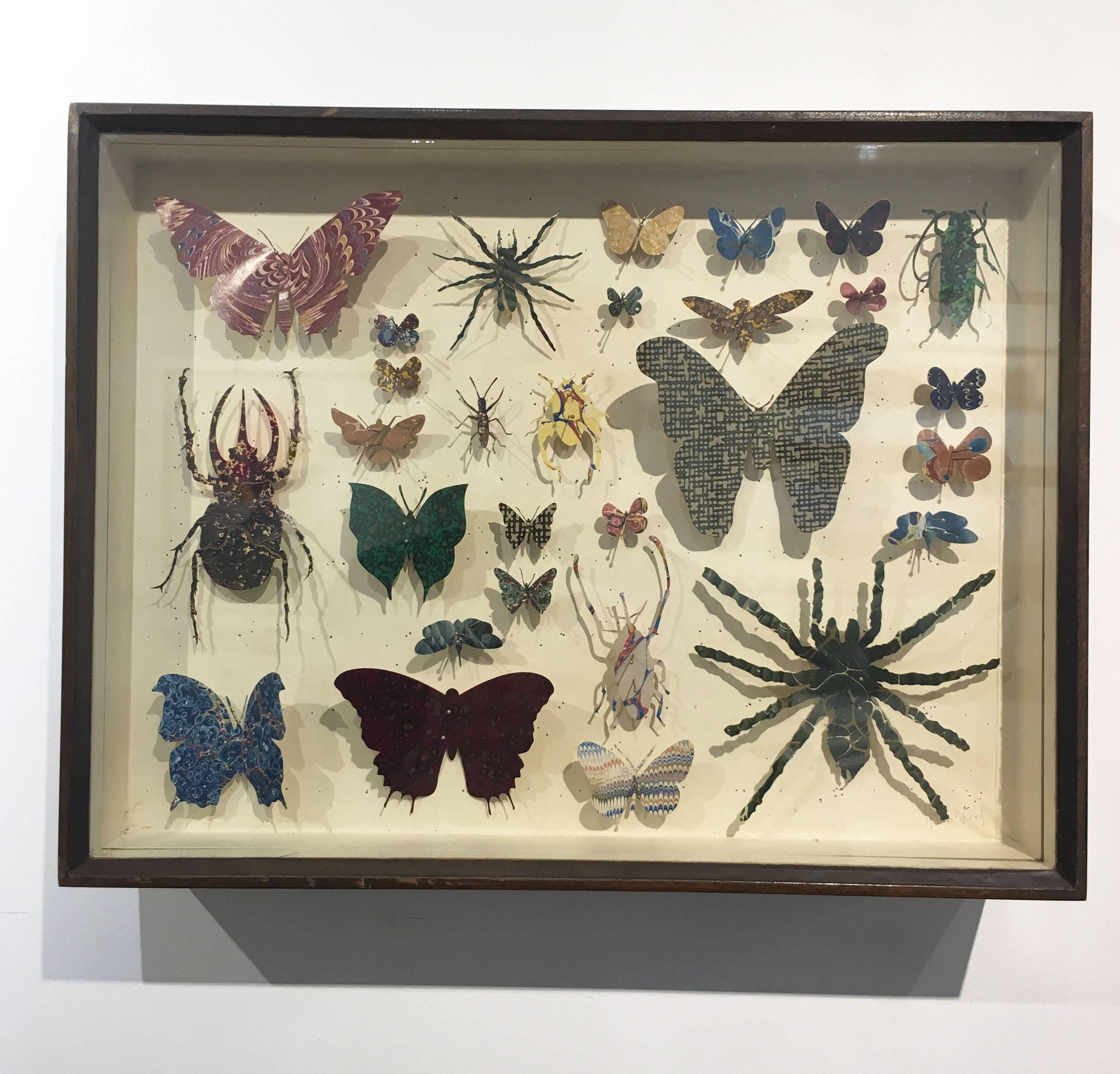 Helen Ward - Paper Entomology For Sale at 1stDibs | helen ward artist ...