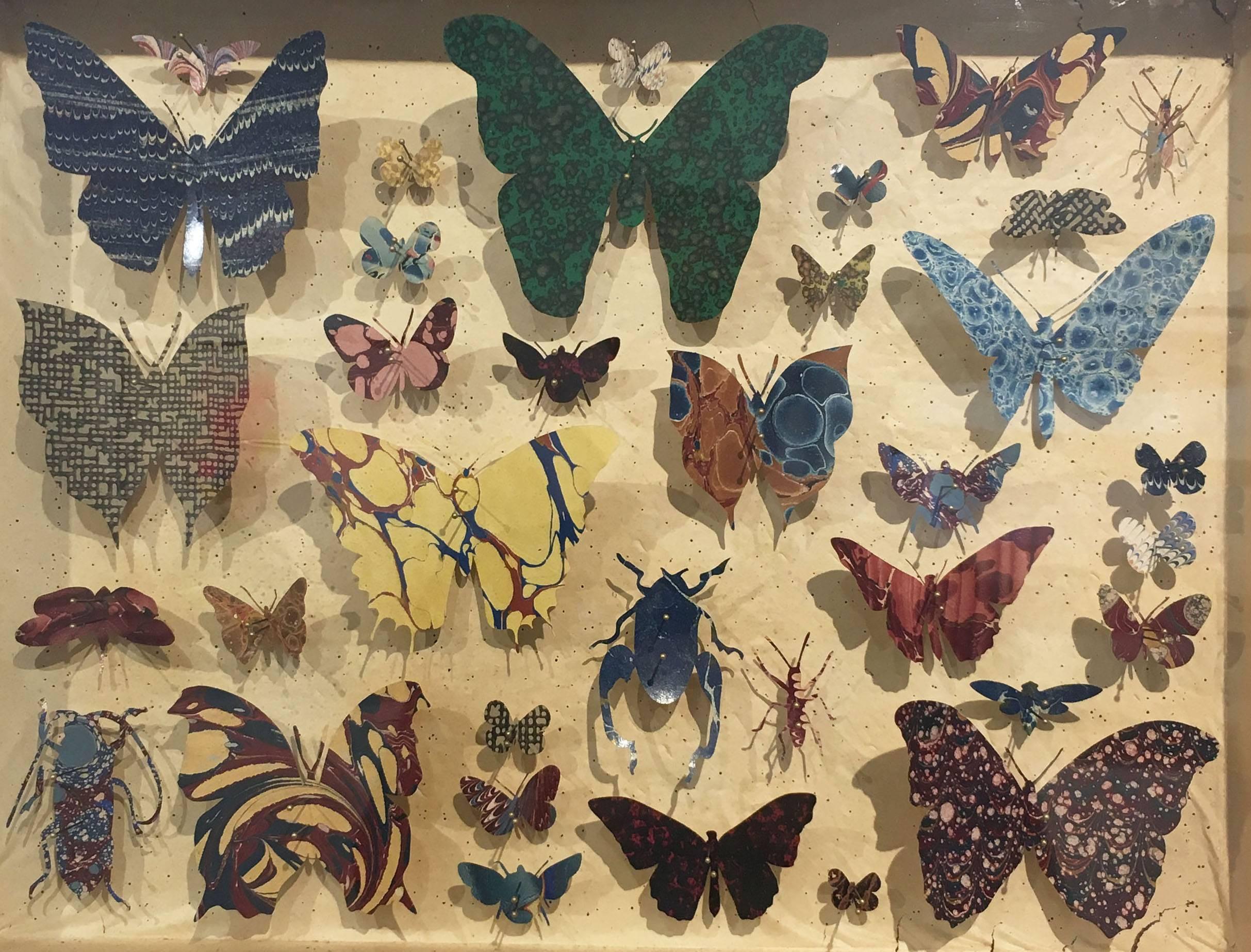 Helen Ward - Paper Entomology For Sale at 1stDibs