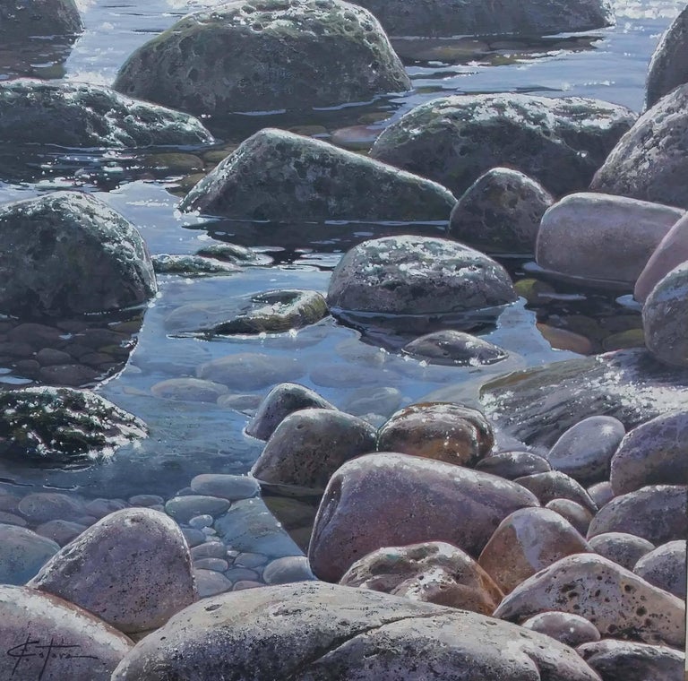 Marc Esteve - Peinture réaliste de Rockpool Reflections de Mark Esteve ...