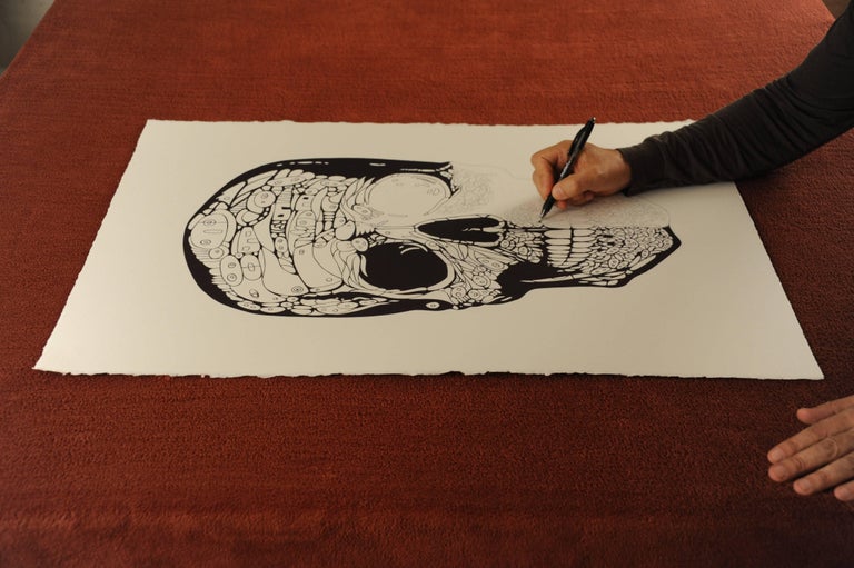 Pablo Caviedes - "Eve" - Skull drawing, pen on paper, framed For Sale ...