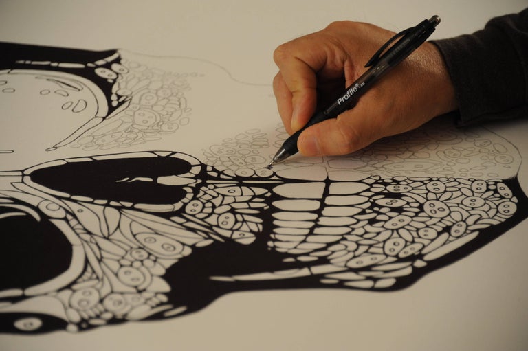 Pablo Caviedes - "Eve" - Skull drawing, pen on paper, framed For Sale ...