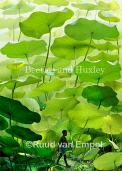 Ruud van Empel Fine Art - 13 For Sale at 1stdibs