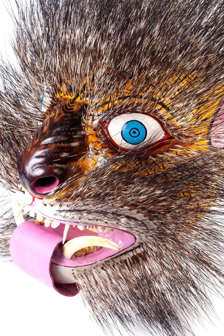 Juan Zeferino Rivera - 16'' Mascara de Jabali / Wood carving Lacquer ...