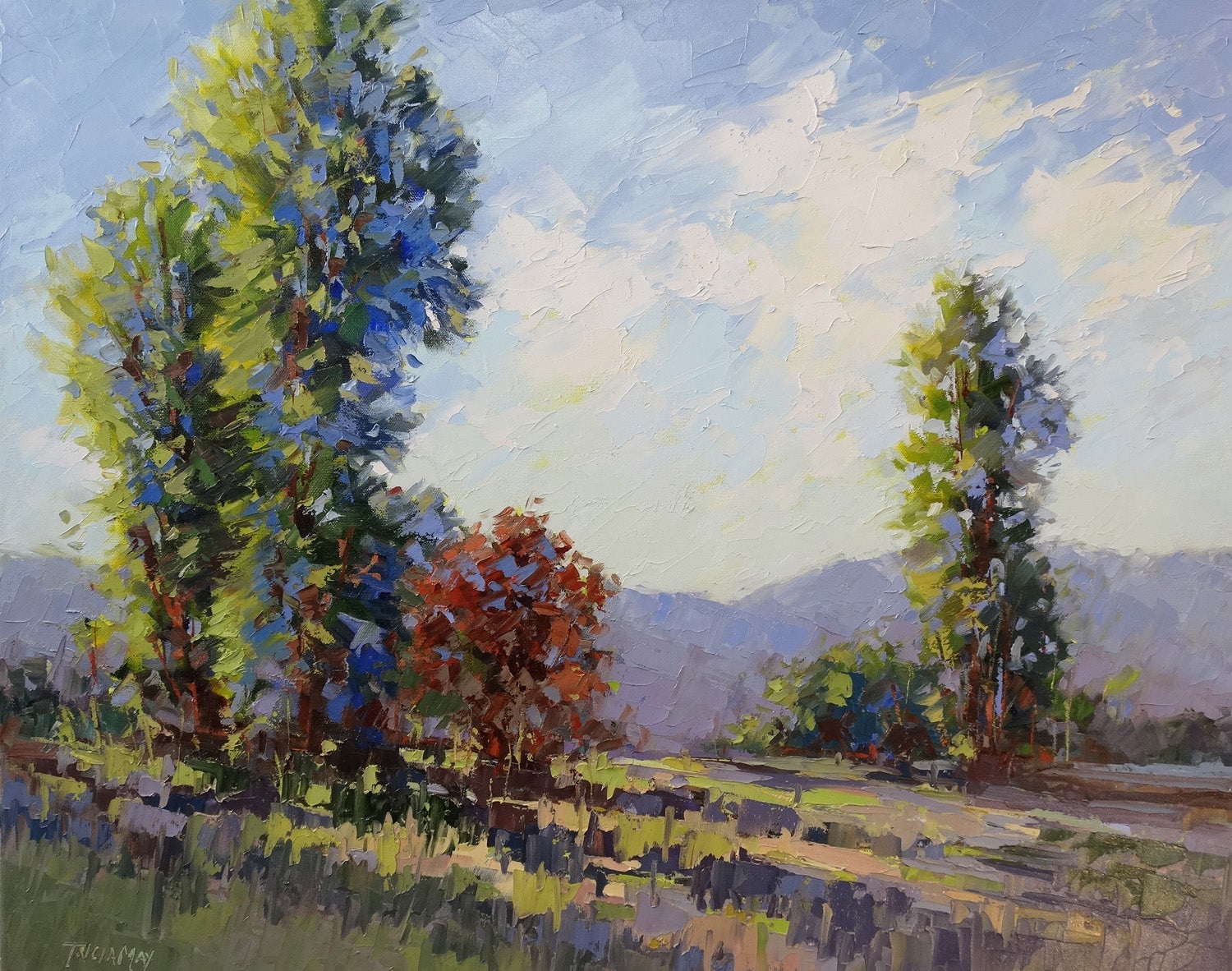 Tricia May - Random Splendor #2 For Sale at 1stDibs