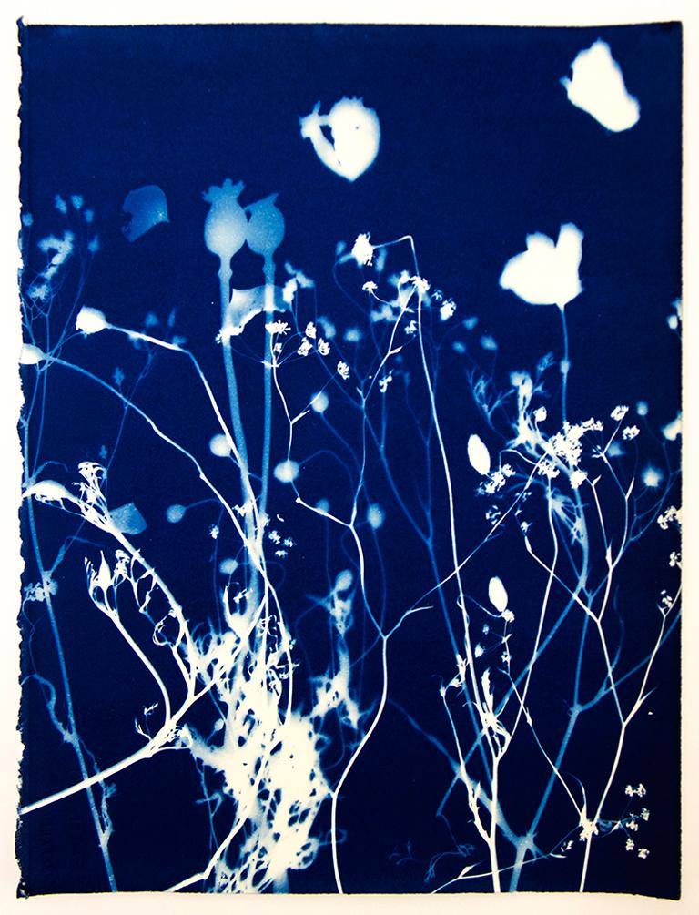 Pipo Nguyen-Duy - Untitled L15, Print For Sale at 1stdibs