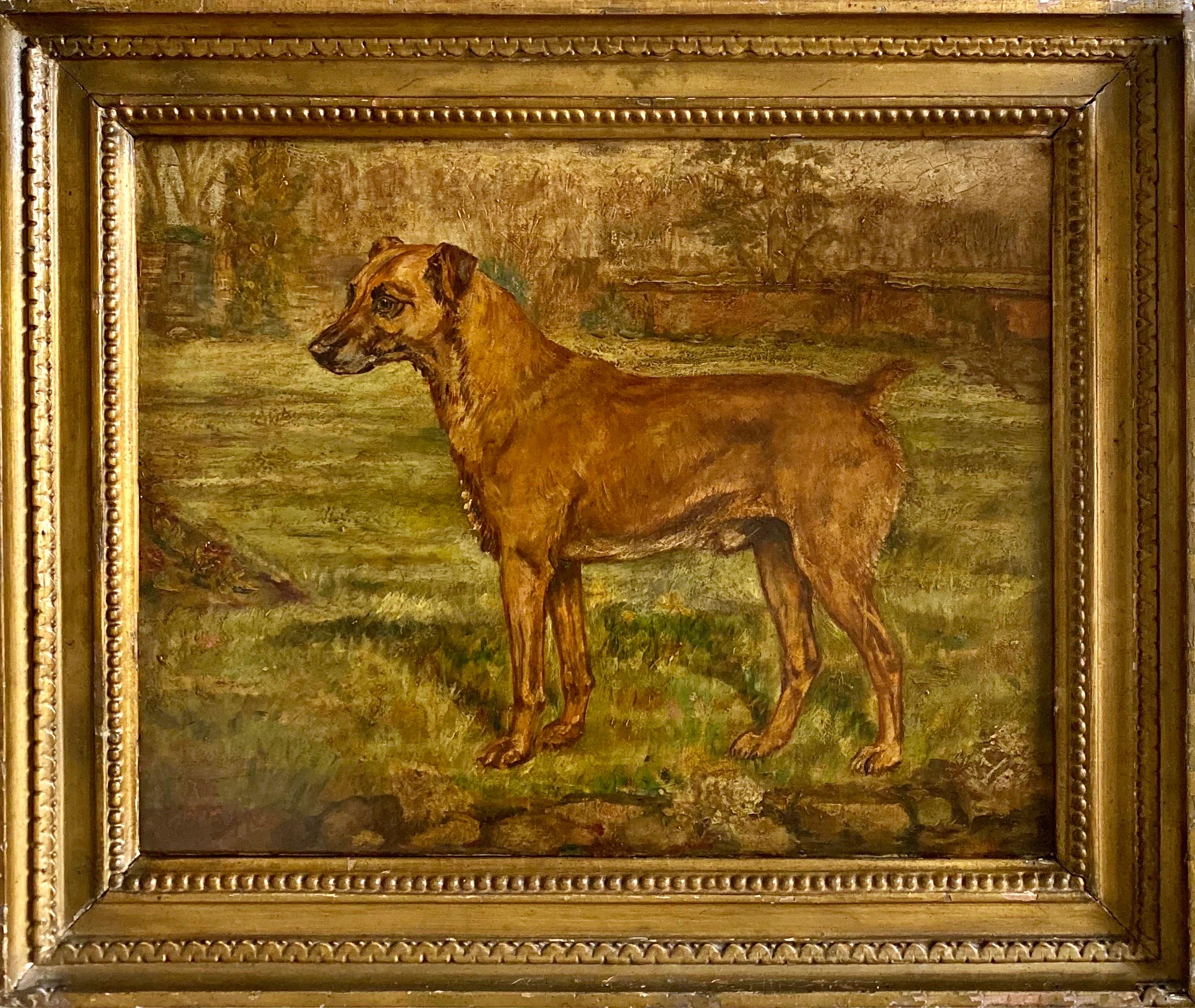 John Emms Animal Paintings - 4 For Sale at 1stDibs