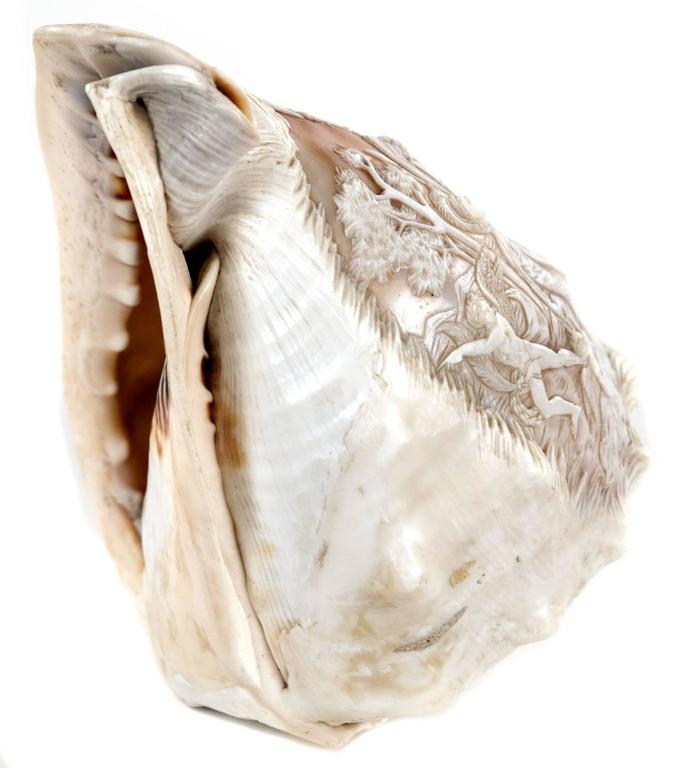 Cameo Carved Conch Shell Depicting Diana at the Hunt at 1stDibs