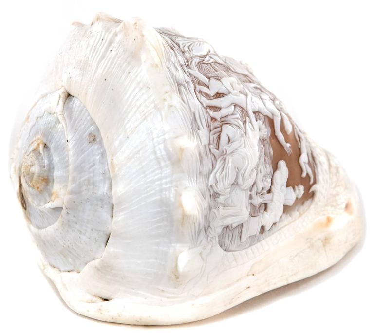 Cameo Carved Conch Shell Depicting Diana at the Hunt at 1stDibs