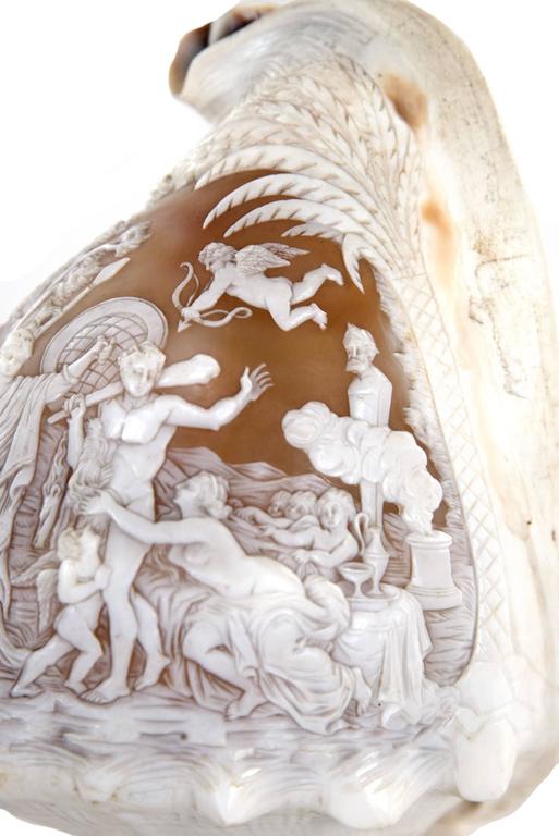 Cameo Carved Conch Shell Depicting Diana at the Hunt at 1stDibs