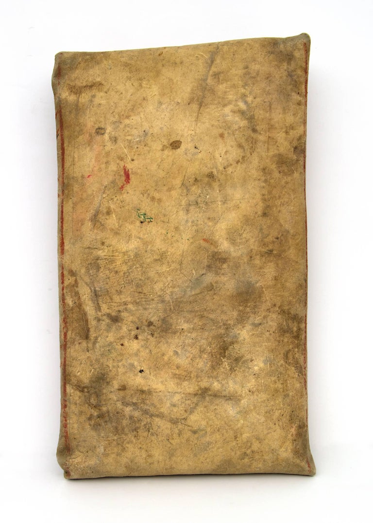 Antique Native American Parfleche Envelope, Blackfeet, circa 1875 at ...