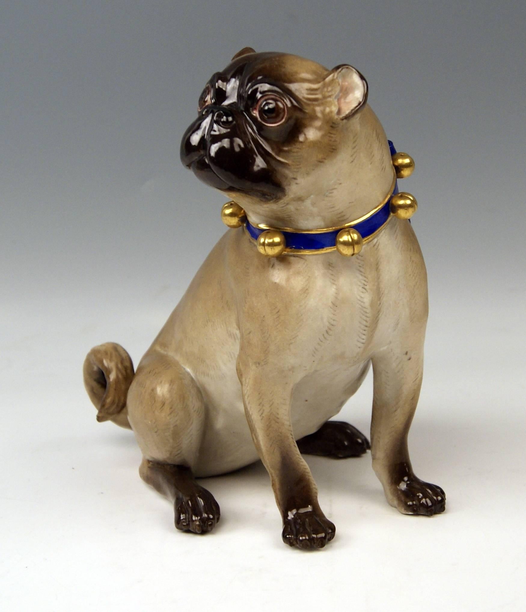 Meissen Lovely Pug with Rattles by Kaendler, circa 1850 at 1stDibs ...