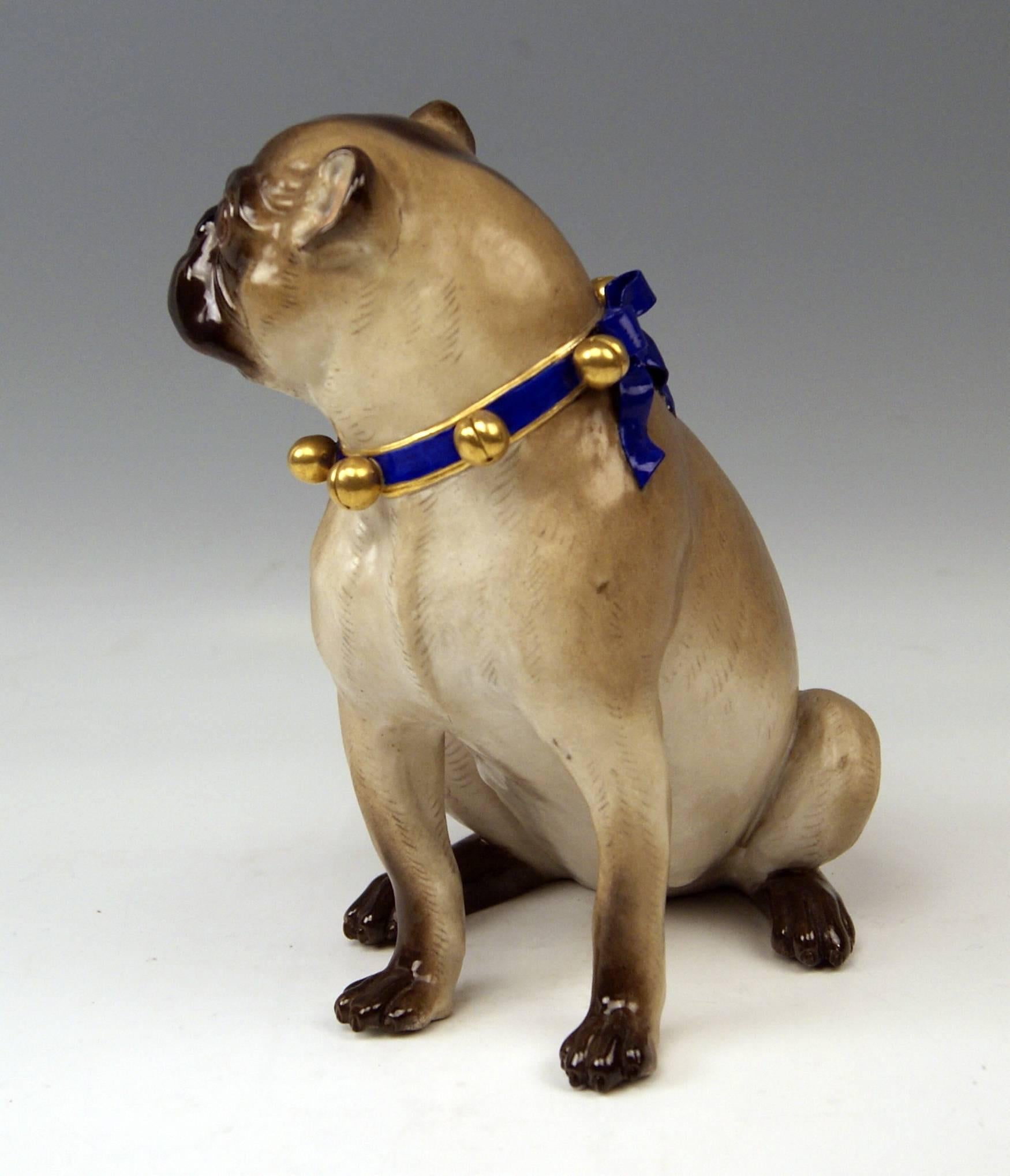 Meissen Lovely Pug with Rattles by Kaendler, circa 1850 at 1stDibs ...