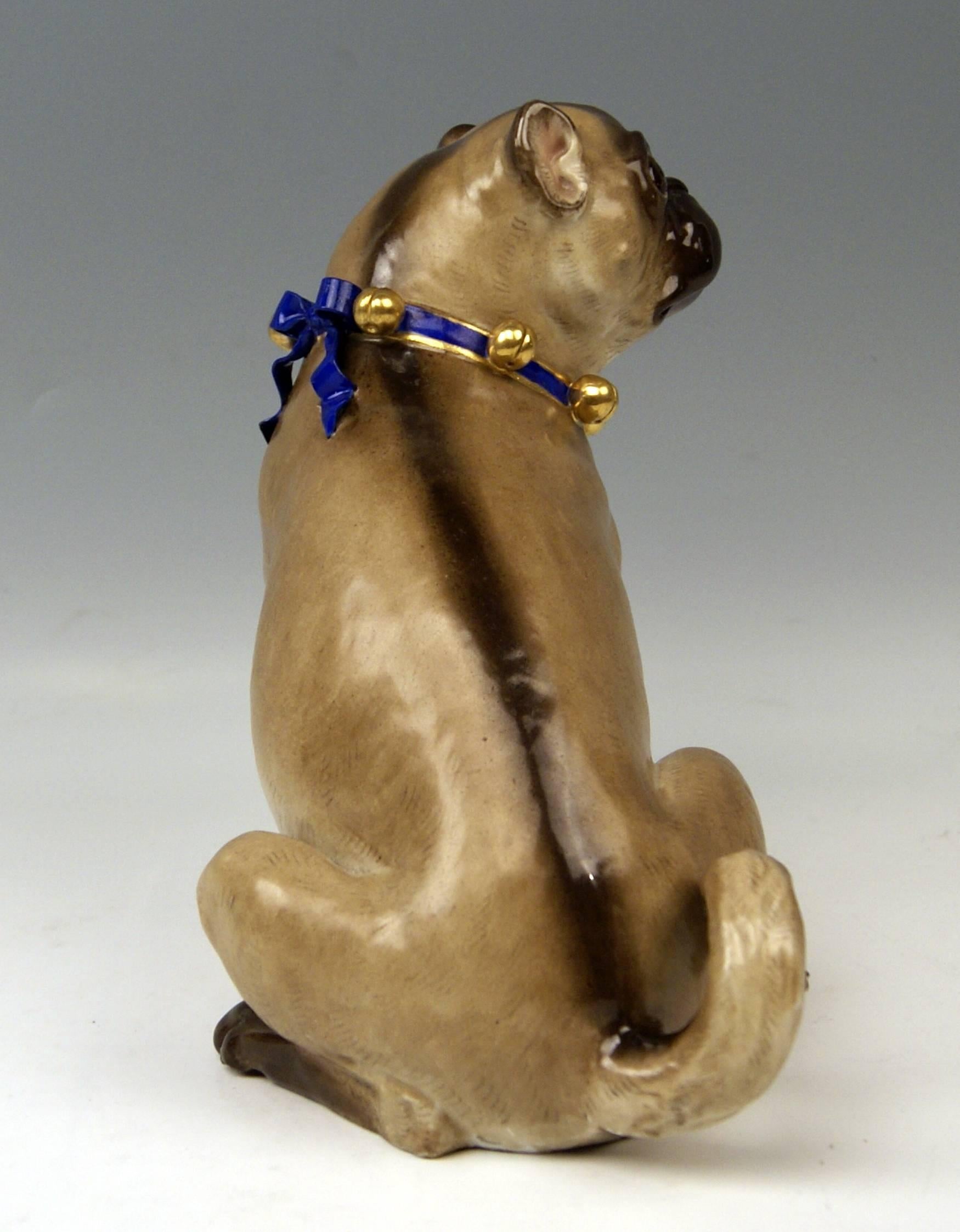 Meissen Lovely Pug with Rattles by Kaendler, circa 1850 at 1stDibs ...