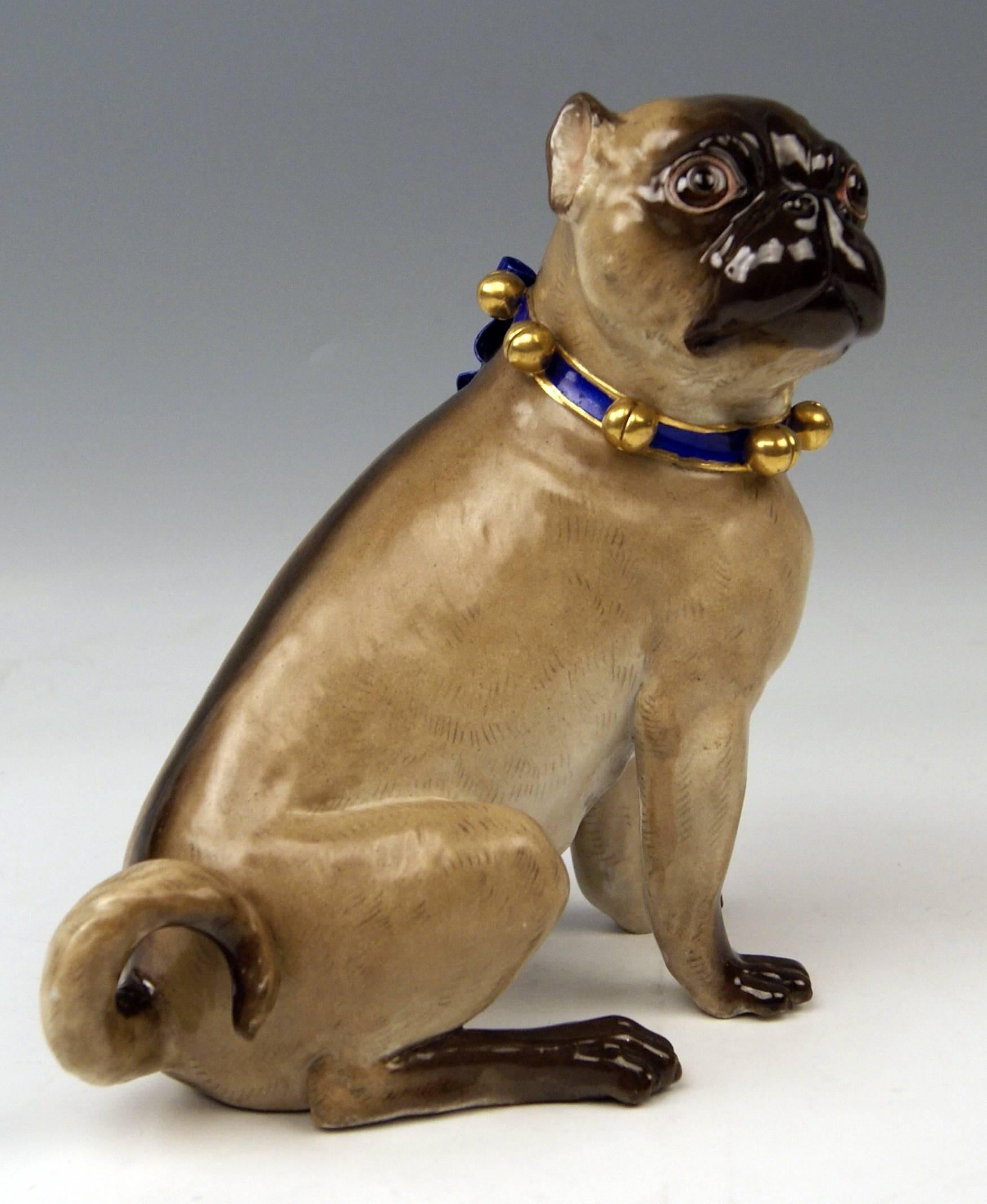 Meissen Lovely Pug with Rattles by Kaendler, circa 1850 at 1stDibs ...