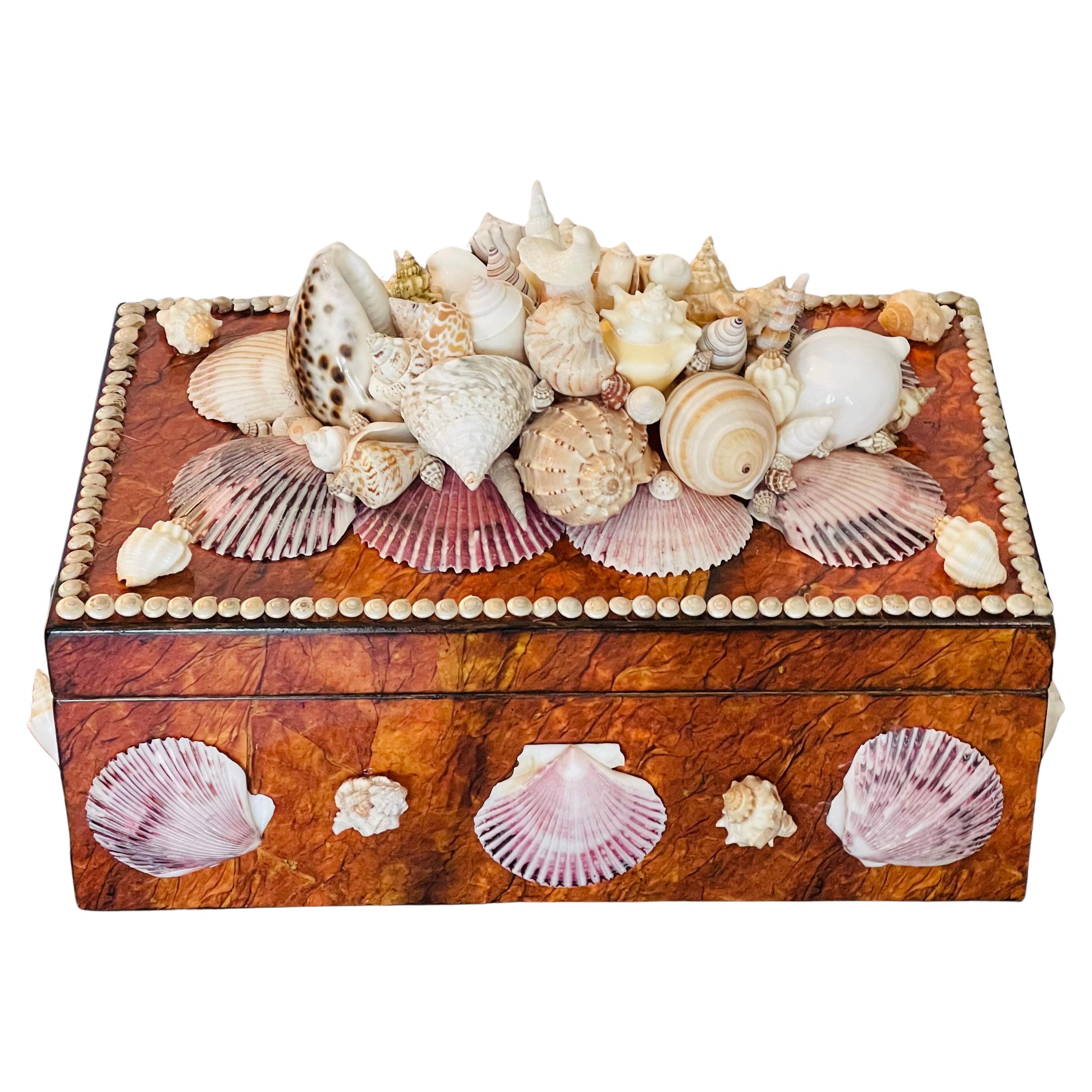 Organic Modern Sea Shell Collection in Wood Tray For Sale at 1stDibs