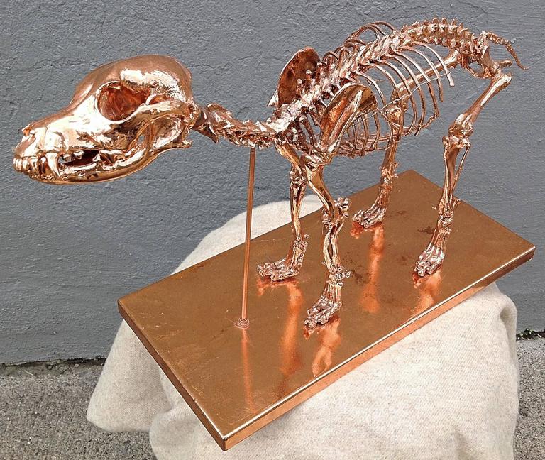 Copper-Plated Dog Skeleton at 1stDibs