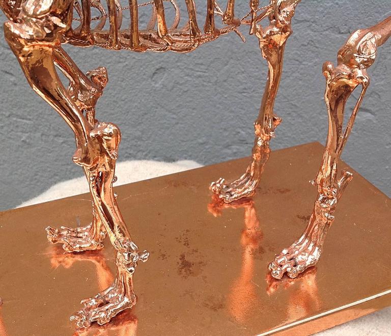Copper-Plated Dog Skeleton at 1stDibs