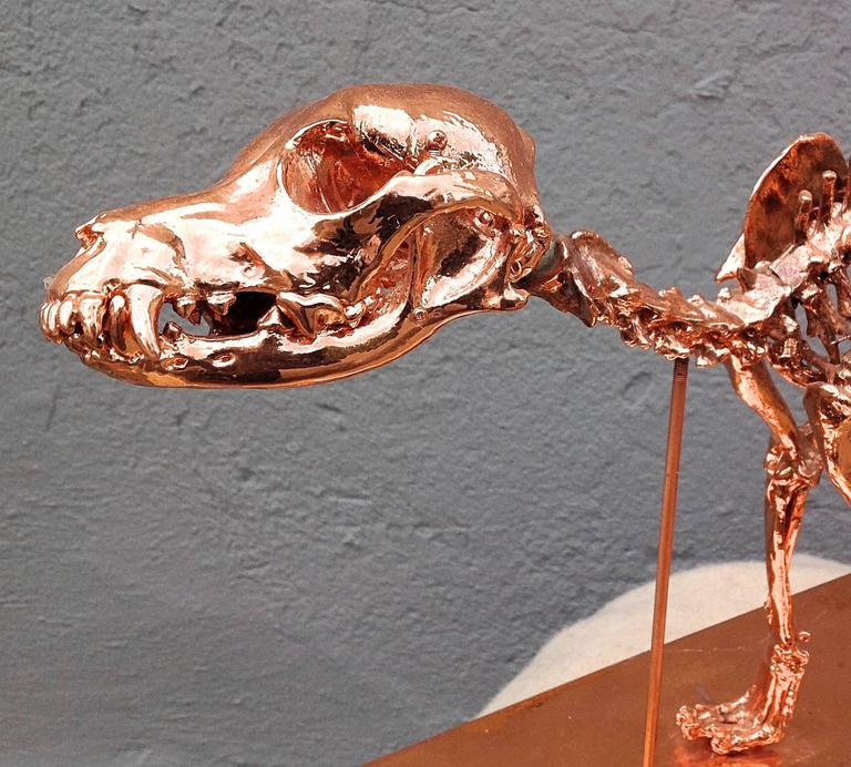 Copper-Plated Dog Skeleton at 1stDibs
