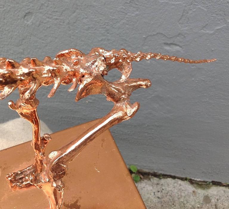 Copper-Plated Dog Skeleton at 1stDibs