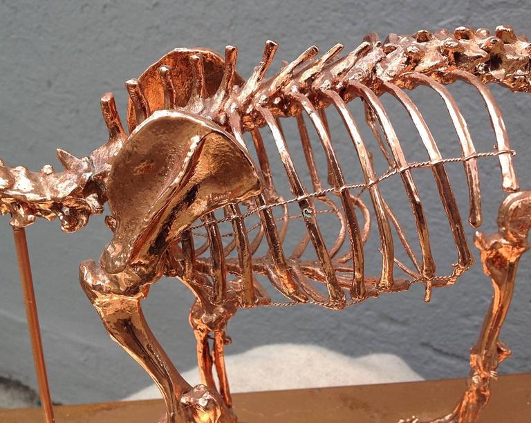 Copper-Plated Dog Skeleton at 1stDibs