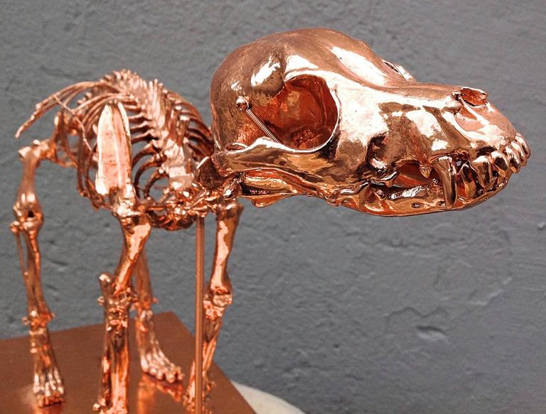 Copper-Plated Dog Skeleton at 1stDibs