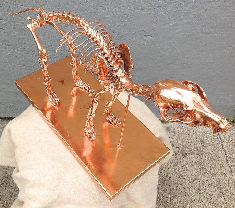 Copper-Plated Dog Skeleton at 1stDibs