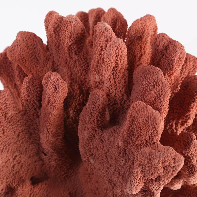 Vintage Natural Red Coral Specimen Mounted on Lucite Stand at 1stDibs