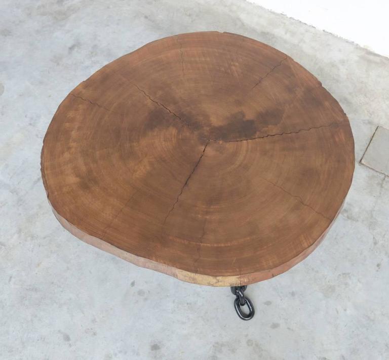 Extraordinary Tree Trunk Dining Table at 1stDibs