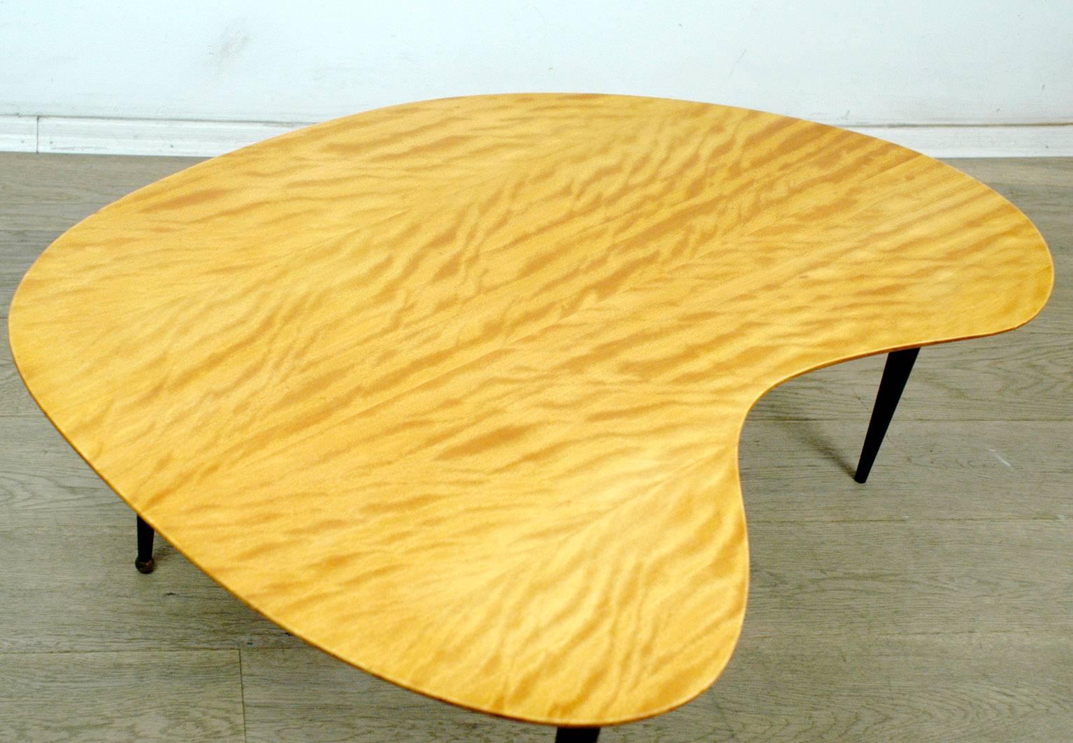 Italian 1950s Freeform Cocktail Table with Bird´s Eye Maple Top at 1stDibs