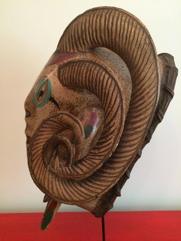 Impressive Ram Head Mask from the Ivory Coast at 1stDibs