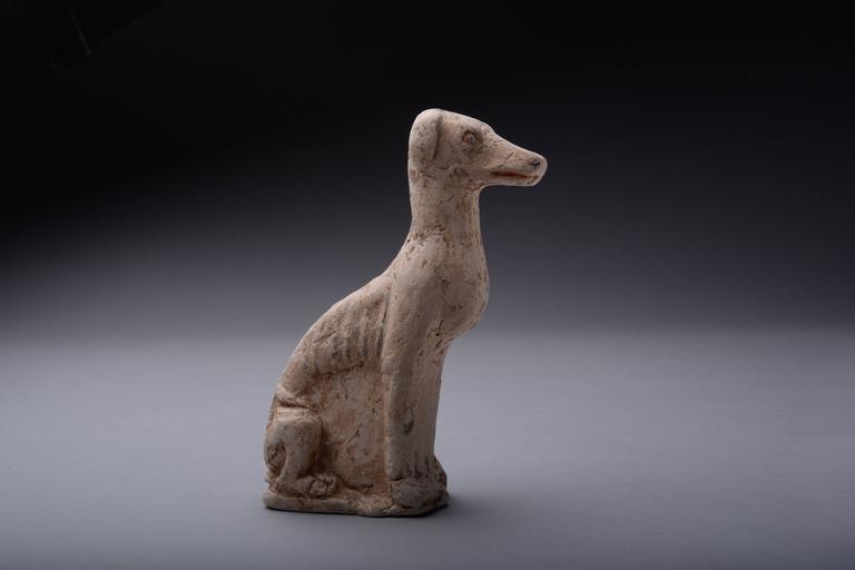 Ancient Chinese Tang Dynasty Pottery Greyhound Dog, 618 AD at 1stDibs