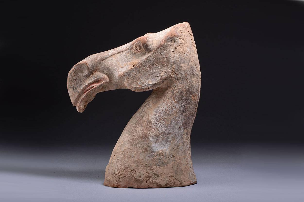 Ancient Chinese Han Dynasty Pottery Horse Head Sculpture, 202 BC For ...
