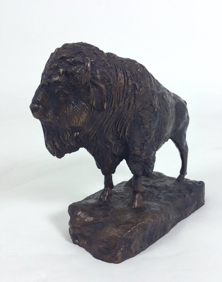 Early 20th Century Bronze Model of a Bison at 1stDibs