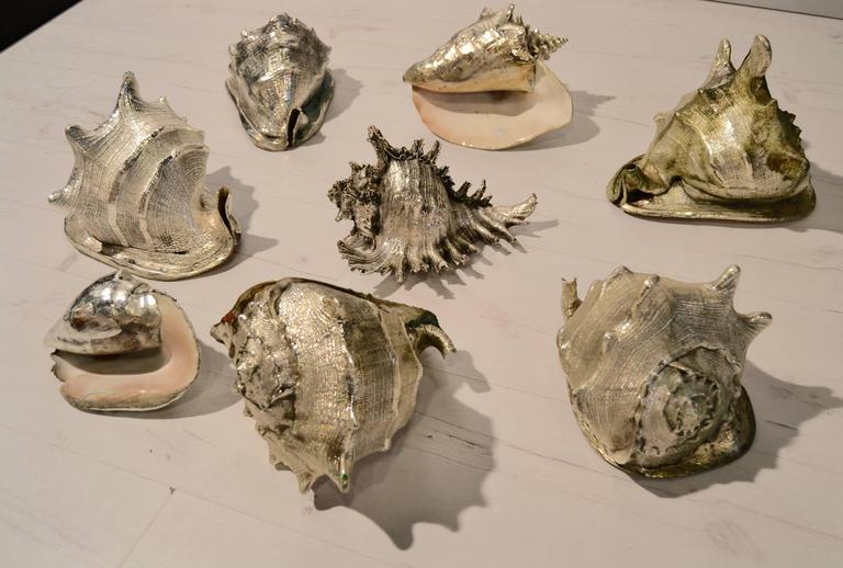 Set of Eight Silvered Sea Shells by Buccellati at 1stDibs