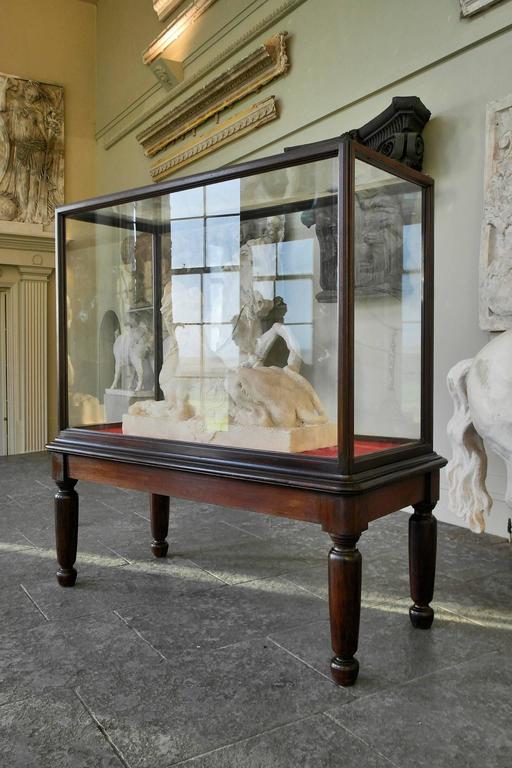 20th Century Monumental Glazed Museum Display Cabinet For Sale at 1stDibs