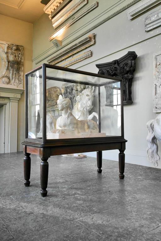20th Century Monumental Glazed Museum Display Cabinet For Sale at 1stDibs