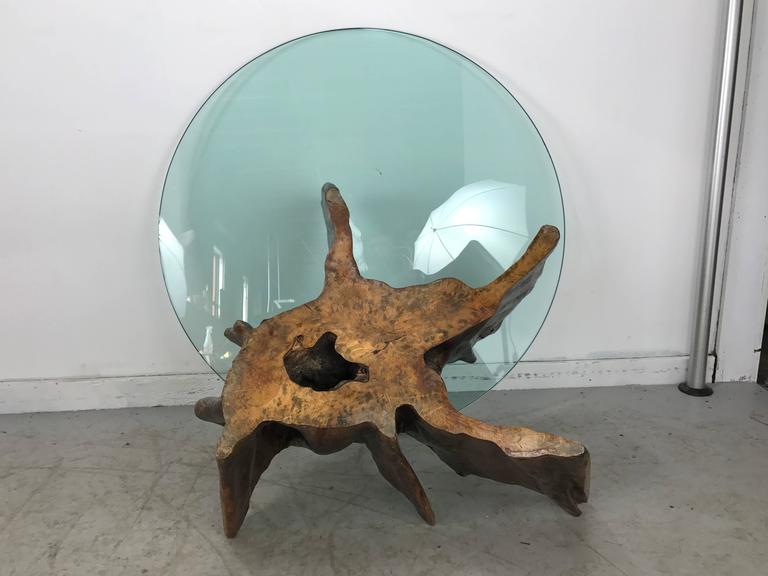 Unusual Organic Cyprus Root and Glass Coffee Table at 1stDibs