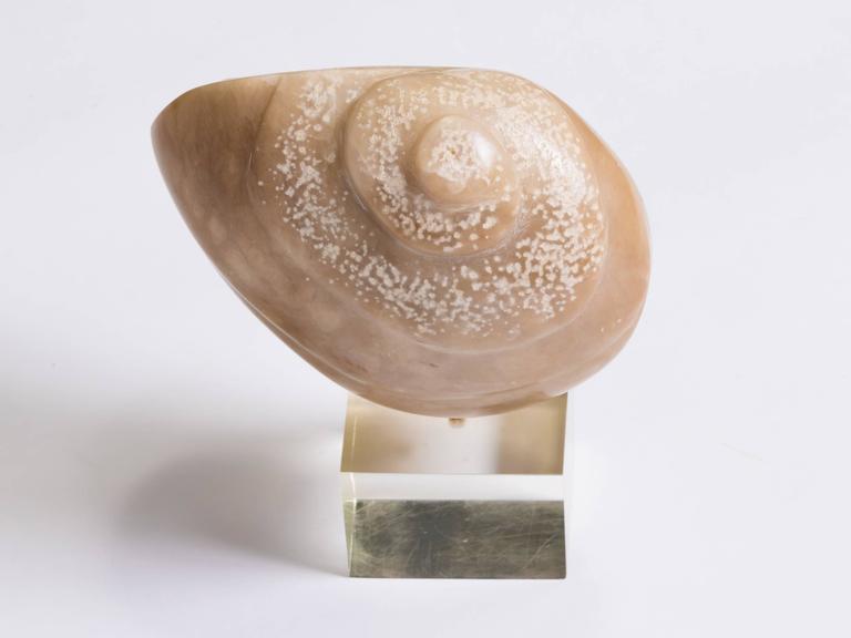 Carved Marble Shell on Lucite Base at 1stDibs