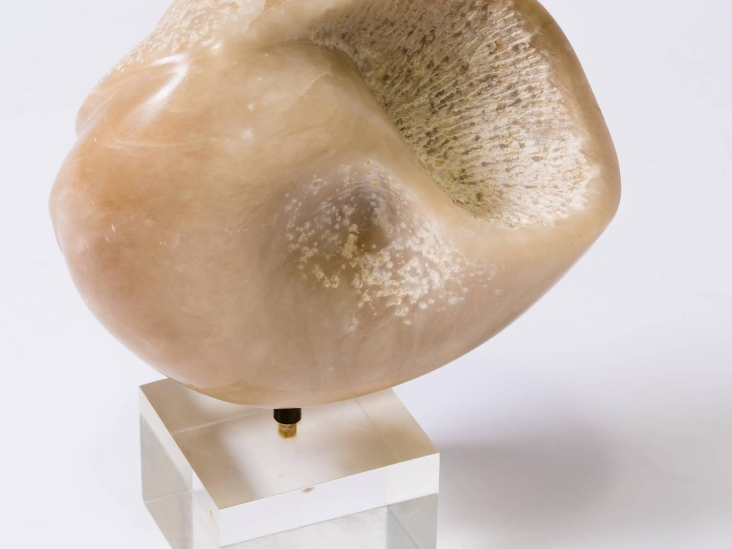 Carved Marble Shell on Lucite Base For Sale at 1stdibs
