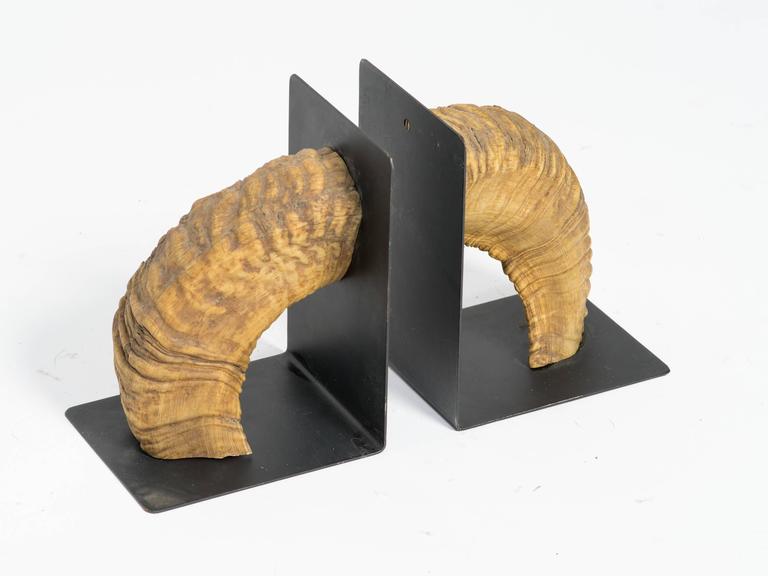 Pair of Ram Horn Bookends at 1stDibs | cherub bookends
