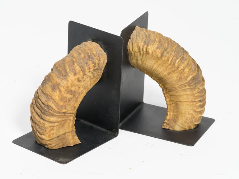 Pair of Ram Horn Bookends at 1stDibs | cherub bookends