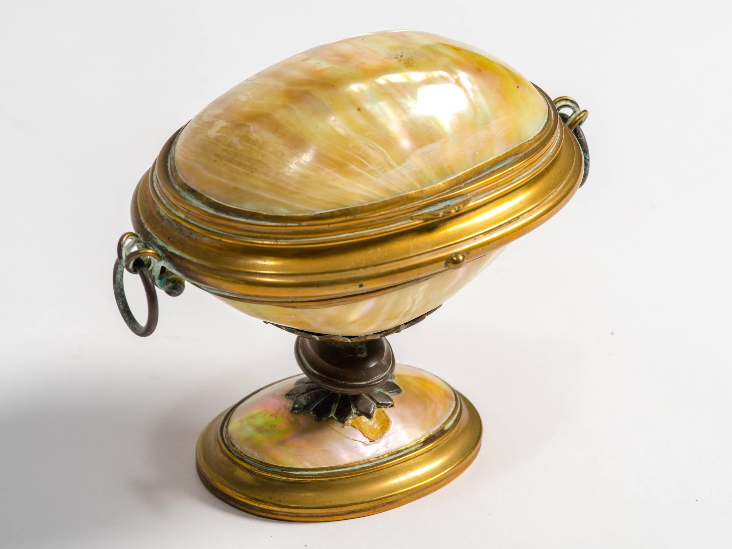 19th Century English Shell Box at 1stDibs