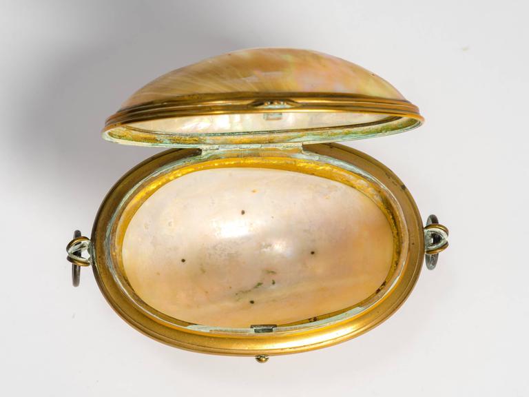 19th Century English Shell Box at 1stDibs