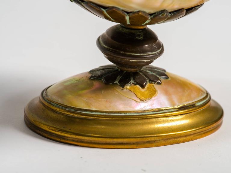 19th Century English Shell Box at 1stDibs