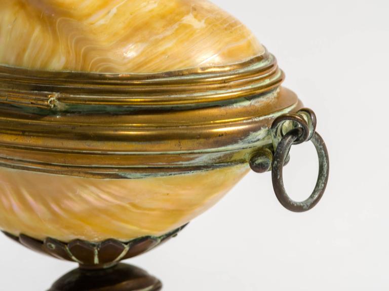 19th Century English Shell Box at 1stDibs
