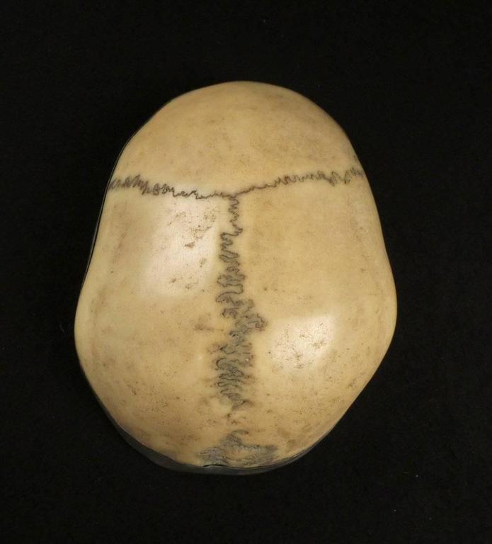 19th Century Tibetan Ritual Skull Cup with Coral and Silver Detail at ...