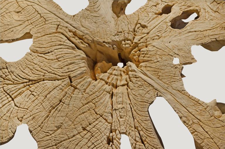 Erosion Teak Wood Sculpture at 1stdibs