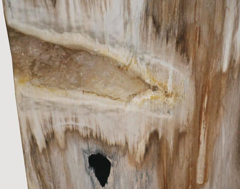 Andrianna Shamaris Petrified Wood with Clear Cracked Resin at 1stDibs ...