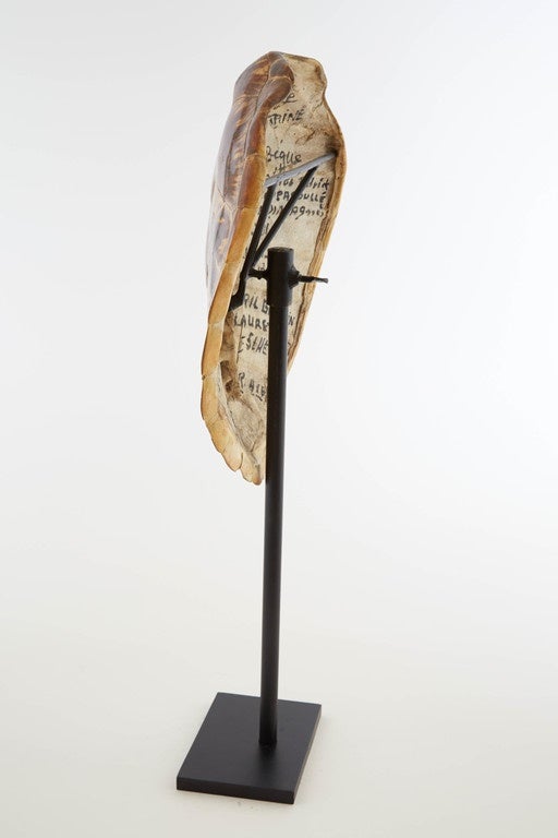 Antique French Tortoise Shell at 1stDibs